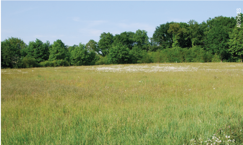 BCAE 7 et 8 : jachère et rotation à la parcelle non obligatoires en ...